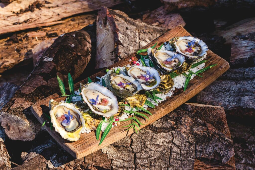 Deckman’s en el Mogor – Marco Beteta